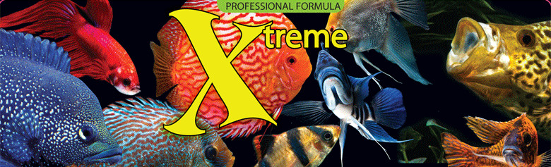 Fish Food / Xtreme Fish Food - The Aquarium Shop Australia