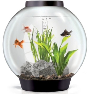 biOrb Classic 60 Circular Aquarium 60L Black - The Aquarium Shop Australia