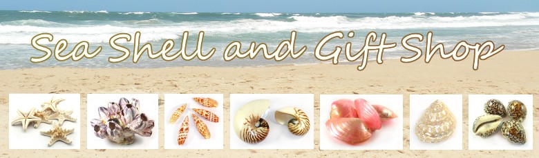 Categories - The Aquarium Shop Australia